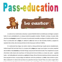 Le castor - Lecture - Texte informatif - Documentaire : 4eme, 5eme ...