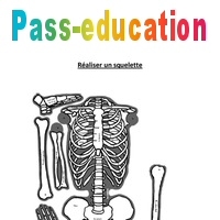 Réaliser un squelette - Exercices - Sciences : 3eme, 4eme Primaire ...