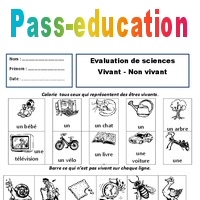 Vivant - Non vivant - Examen Evaluation : 2eme Primaire - Cycle 2 - PDF ...