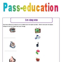 Les 5 sens - Corps humain - Exercices - Sciences : 2eme Primaire