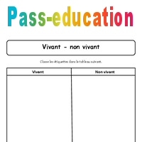 Vivant - Non vivant - Exercices - Découverte du monde : 2eme Primaire ...