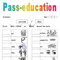Un, une ou des - Exercices - Grammaire : 1ere Primaire - Cycle 2 - PDF ...
