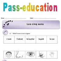 5 sens - Exercices - Découverte du monde : 1ere Primaire - Cycle 2 ...