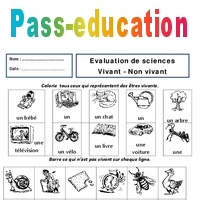 Vivant - Non vivant - Examen Evaluation : 1ere Primaire - Cycle 2 - PDF ...