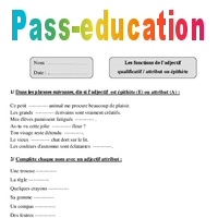 Fonctions - Adjectif qualificatif - Attribut ou épithète - Exercices ...