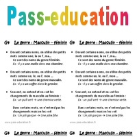 Masculin - Féminin - Le genre - Cours, Leçon : 2eme Primaire - PDF à ...