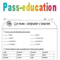 Nombre du nom - Singulier et pluriel - Exercices : 2eme Primaire - PDF ...