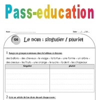 Pluriel - Singulier - Exercices sur le genre et le nombre : 2eme ...