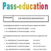 Homophones grammaticaux - Cours : 2eme Secondaire - PDF à imprimer