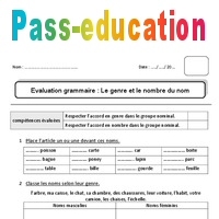 Genre et nombre du nom - Examen Evaluation - Bilan : 3eme Primaire ...