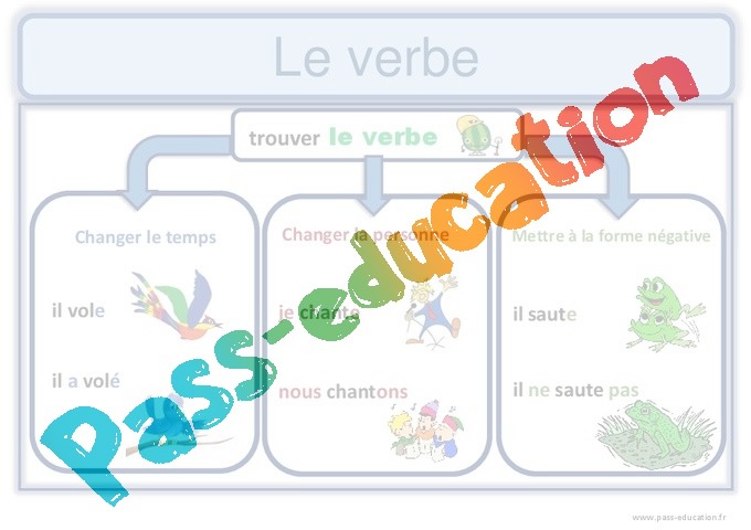 Affiches - Grammaire : Primaire - Cycle Fondamental - PDF à imprimer