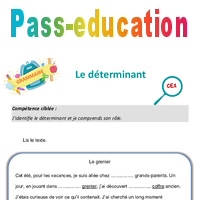 Le déterminant - Séance découverte à manipuler : 2eme Primaire - PDF à ...