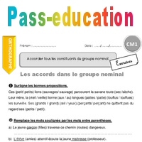 Les accords dans le groupe nominal - Exercices : 4eme Primaire - PDF à ...