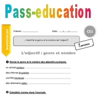 Genre et le nombre de l’adjectif - Exercices avec correction : 2eme ...