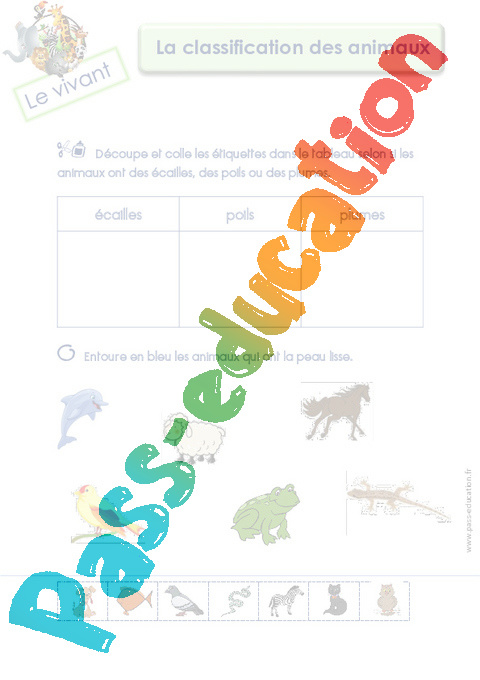 Classer les animaux - Le vivant : 2eme, 3eme Maternelle - Cycle ...