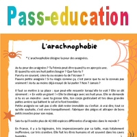 Les araignées - Lecture thématique : 3eme Primaire - PDF à imprimer