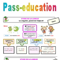 Le singulier, pluriel de l’adjectif - Étude de la langue - Cours, Leçon ...