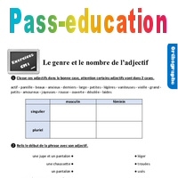 Le genre et le nombre de l’adjectif - Exercices, révisions : 4eme ...