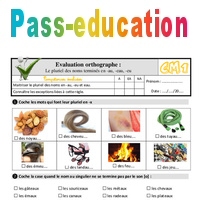 Le pluriel des noms terminés en - au, - eau, - eu - Examen Evaluation ...