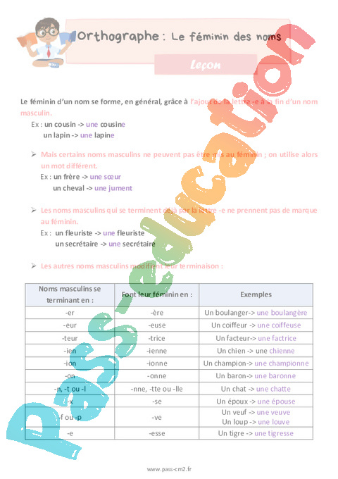 Le féminin des noms - Cours, Leçon d'orthographe : 5eme Primaire - PDF ...