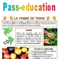 La pomme de terre - Lecture documentaire : 2eme, 3eme Primaire - Cycle ...