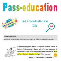 Les accords dans le GN - Séance découverte à manipuler : 5eme Primaire ...