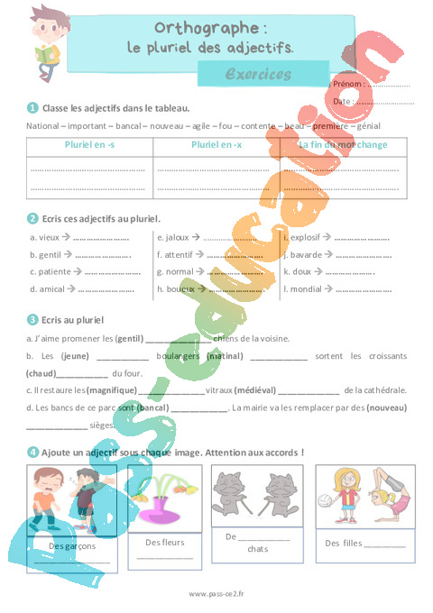 Le pluriel des adjectifs - Exercices d'orthographe : 3eme Primaire ...