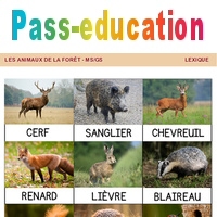 Animaux de la forêt - Lexique : 2eme, 3eme Maternelle - Cycle ...
