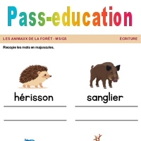 Les animaux de la forêt - Ecriture : 2eme, 3eme Maternelle - Cycle ...