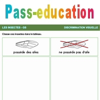 Les insectes - Discrimination visuelle : 3eme Maternelle - Cycle ...