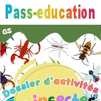 Les insectes - Dossier d'activités : 3eme Maternelle - Cycle ...