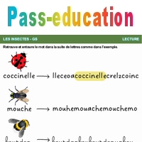 La suite de lettres - Les insectes - Lecture : 3eme Maternelle - Cycle ...