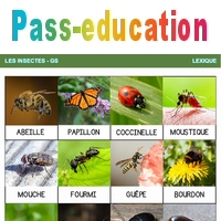 Les insectes - Vocabulaire : 3eme Maternelle - Cycle Fondamental - PDF ...