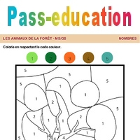 Petit renard dans la forêt - Animaux de la forêt - Nombres : 2eme, 3eme ...