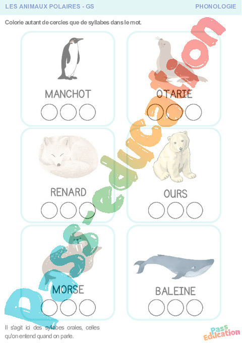 Animaux polaires - Phonologie : 3eme Maternelle - Cycle Fondamental ...