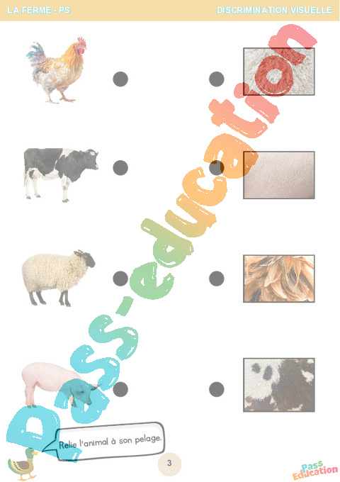 Les animaux de la ferme - Dossier d'activités : 1ere Maternelle - Cycle ...