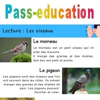 Les oiseaux - Lecture : 1ere, 2eme Primaire - Cycle 2 - PDF à imprimer