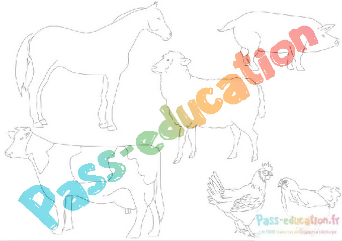 Coloriage gratuit : Animaux de la ferme - PDF à imprimer