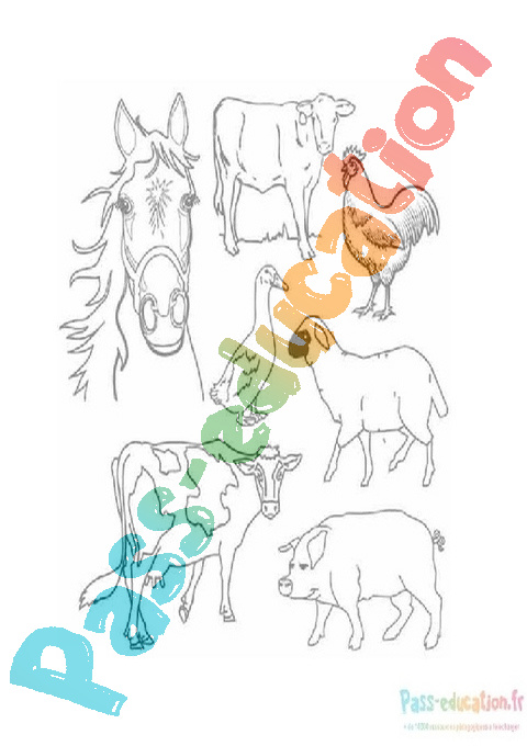Coloriage gratuit : Animaux de la ferme - PDF à imprimer