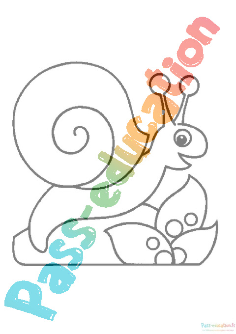 Coloriage gratuit - Fiches Escargot - PDF à imprimer
