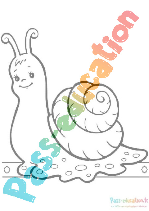 Coloriage gratuit - Fiches Escargot - PDF à imprimer