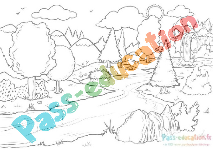 Coloriage gratuit : Forêt - PDF à imprimer