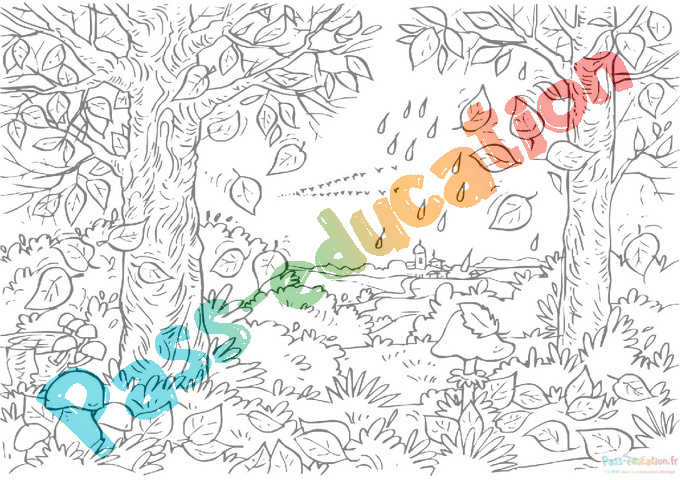 Coloriage gratuit : Forêt - PDF à imprimer