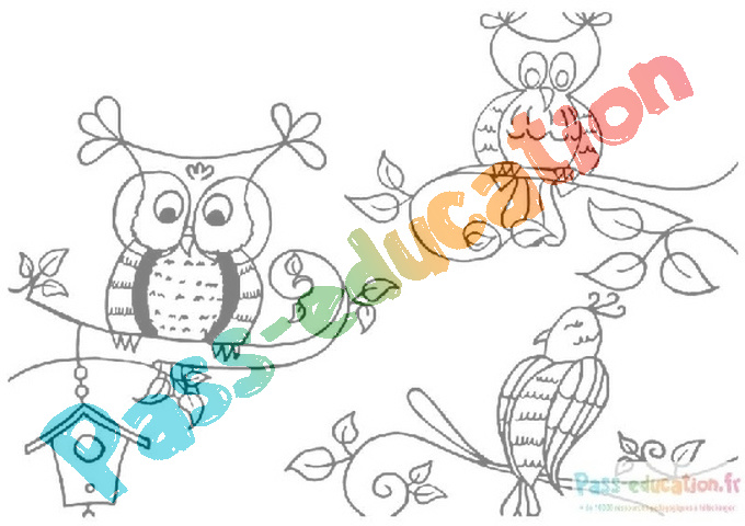 Coloriage gratuit - Fiches Oiseaux - PDF à imprimer