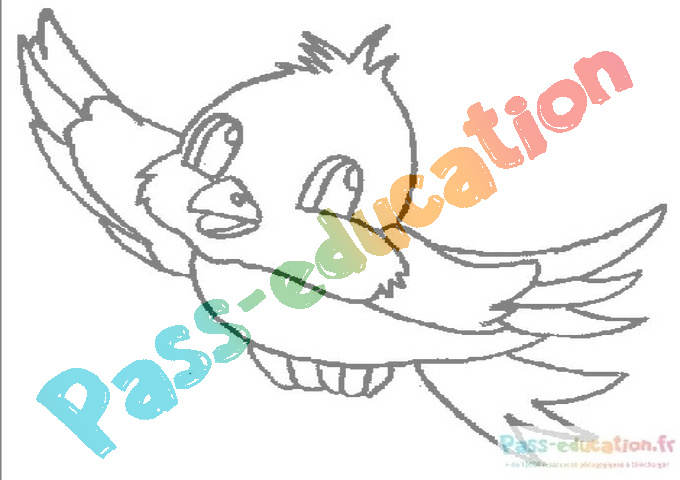 Coloriage gratuit - Fiches Oiseaux - PDF à imprimer