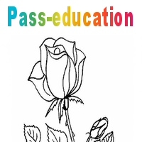 Coloriage gratuit : Rose - PDF à imprimer