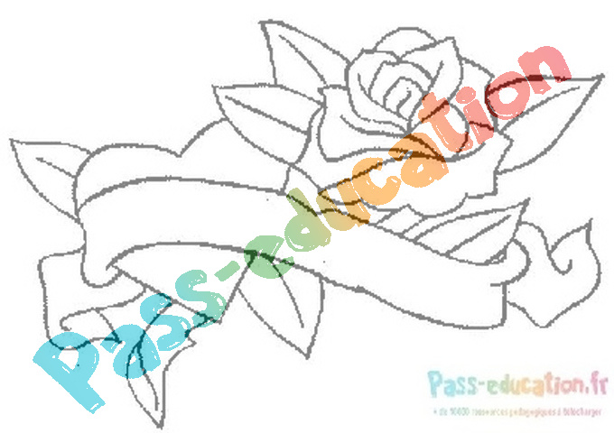 Coloriage gratuit : Rose - PDF à imprimer