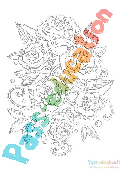Coloriage gratuit - Fiches Rose - PDF à imprimer