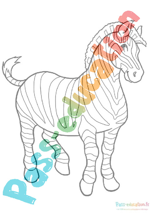 Coloriage gratuit : Zèbre - PDF à imprimer