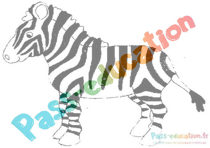 Coloriage gratuit : Zèbre - PDF à imprimer